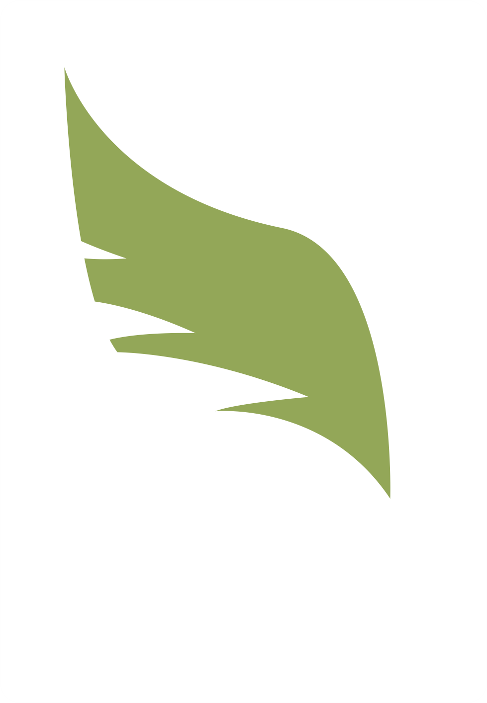 Rosa Maria Jimenez Fragoso | El Ángel