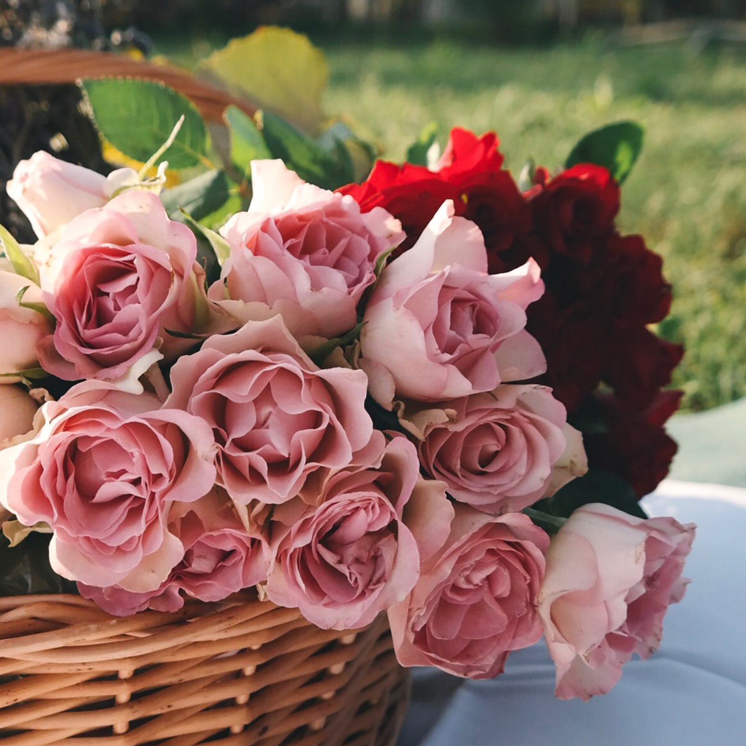 MARIA MODESTA LANDAVERDE | Parque Memorial La Resurrección